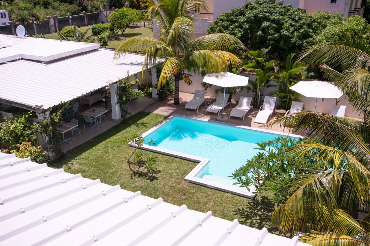 The botanical wonders of Mauritius: diving into the world of endemic ...